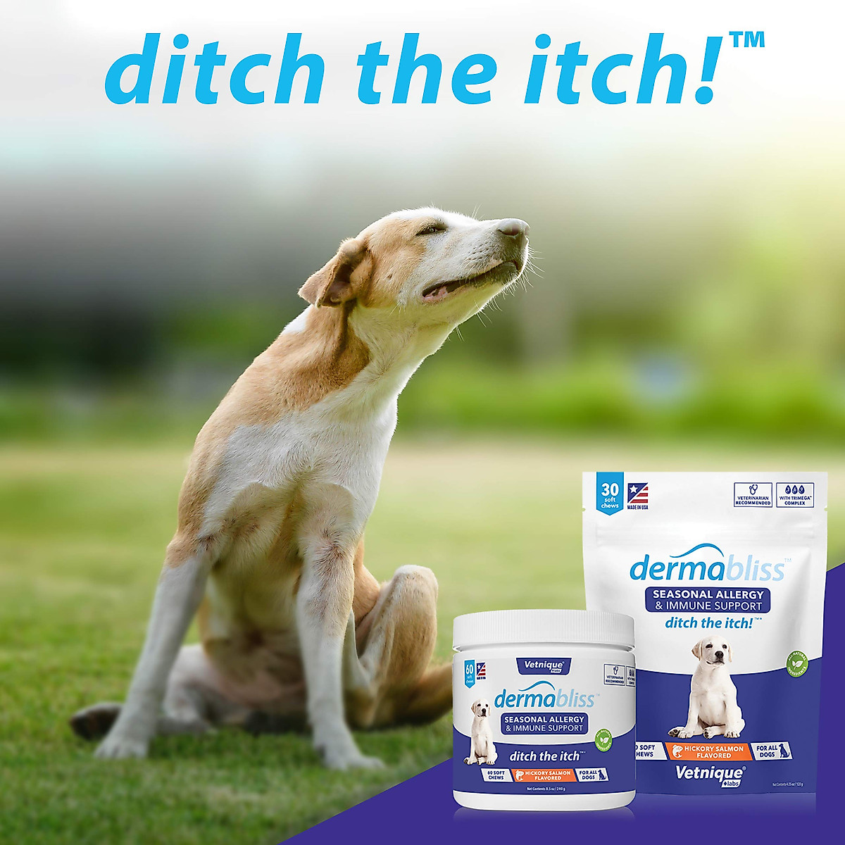 Dermabliss Allergy Chews 30ct and Glandex Anal Gland Support Chews 60ct Bundle Dog Vitamins & Supplements, Anal Gland Dog Treats with Probiotics, Dog Allergies Skin Treatment Soft Chew