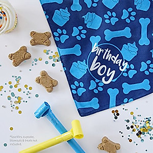 Dog Birthday Bandana - Boy