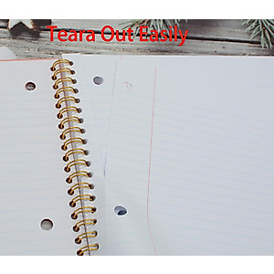 YIKANGHENG Tearable Loose-leaf Spiral Notebook, 2 Pcs 2 Color 3 Punch Design 10.5 Inch x 8.27 Inch Hard Plastic Cover 80 Sheets (160 Pages) 80 GSM for Study and Office Supplies (Blue and Pink)