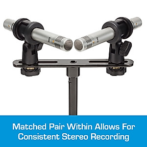 Samson Pencil Condenser Microphones, Silver (SAM C02PR) & Amazon Basics XLR Microphone Cable for Speaker or PA System, All Copper Conductors, 6MM PVC Jacket, 25 Foot, Black