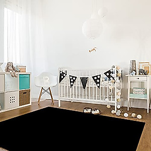 Contemporary Indoor Area Rug Solid Color Black Rug Soft Non-Shedding Carpet Floor Mats Stain Resistant Living Room Bedroom Area Rugs Washable 2' x 3'