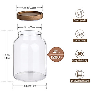 Yangbaga 2PCS Large Glass Storage jar with Lid，86 OZ Airtight Glass Food Canister Container for Kitchen Countertops BPA-Free Grain Dispenser Container for Flour/Pet Snacks/Egg/Coffee/Candy