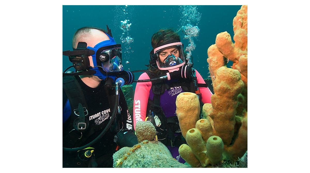 OTS Guardian Full Face Mask - Comfort & Visibility