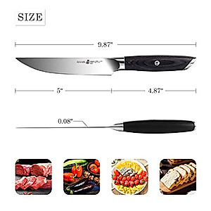 TUO Kitchen Steak Knife - 5 inch Straight Single Steak Knife - German HC Steel Dinner Table Knife - Full Tang Pakkwood Handle - Falcon Series with Gift Box