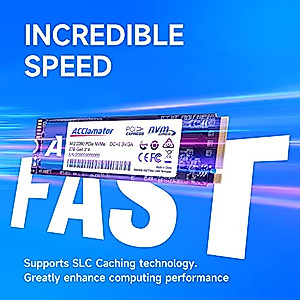 Acclamator 256GB NVMe SSD PCIe M.2 2280 Internal SSD, High Performance Solid State Drive for Laptop and Desktop Read Speed Up to 2000MB/s N20