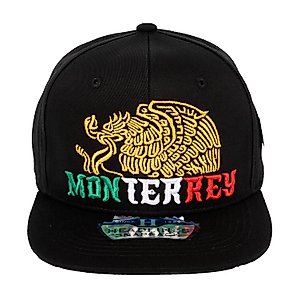 Mexican Hat Mexico State Federal Name Embroidered Snapback Flat Bill Baseball Cap (State-Monterrey) Black