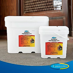 Farnam PyrantelCare Daily Horse Dewormer 2.11% (Pyrantel Tartrate) for Horses of All Ages, Equine Anthelmintic, Continuous Protection Against Small Stronglyes, Ascardis and Pinworms, 10 lbs