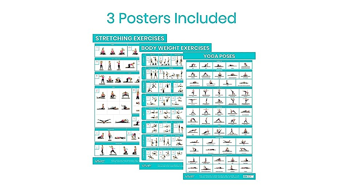 Vive Workout Posters - Home Gym Fitness Guide (3 Pack)