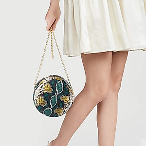 OLIVIABYKY Round Crossbody Bag Snakeskin Shoulder Bag with Chain Strap for Women,Fashion Circle Snakeskin Cellphone Purses Green Mini