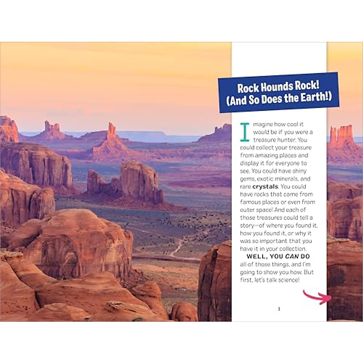 My Awesome Field Guide to Rocks and Minerals: Track and Identify Your Treasures (My Awesome Field Guide for Kids)