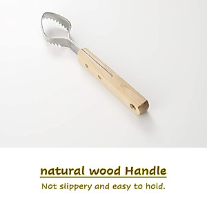 Kanda Fish Scaler Remover Tool Scraper 2Way Fast Cleaning Fish Skin, Stainless Steel with Wooden Handle, Easy and No Mess, Made in Japan