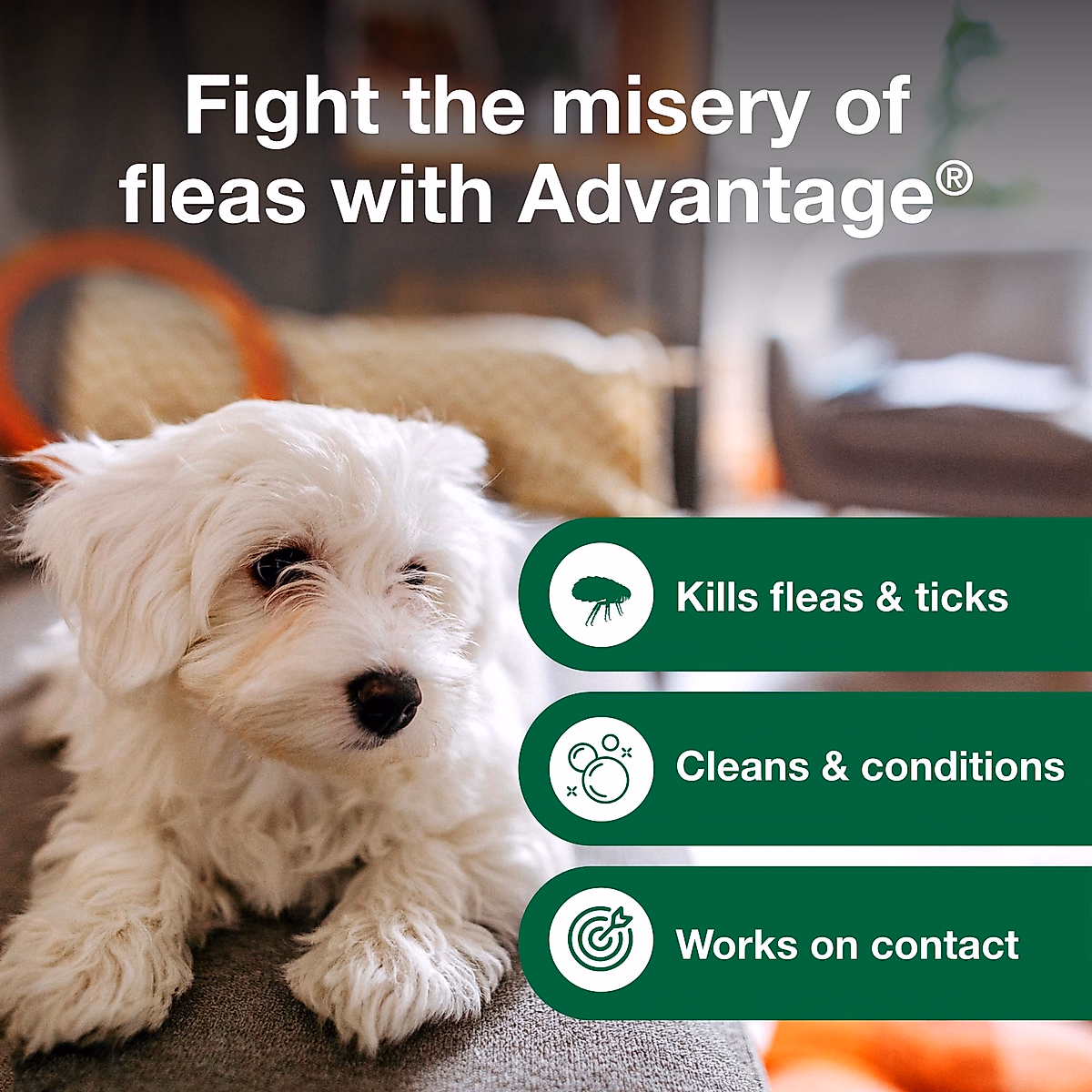 Advantage Dog Flea & Tick Shampoo for Puppies & Adult Dogs | Kills Fleas & Ticks | 24 oz.