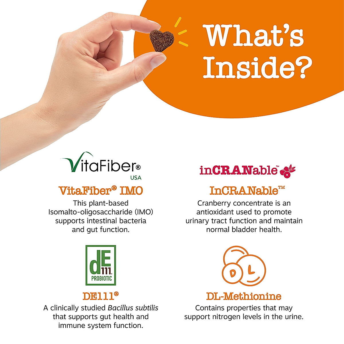 Zesty Paws Stay Green Bites for Dogs - Grass Burn Soft Chews for Lawn Spots Caused by Dog Urine - with Cranberry for Urinary Tract & Bladder - Beef - 90 Count