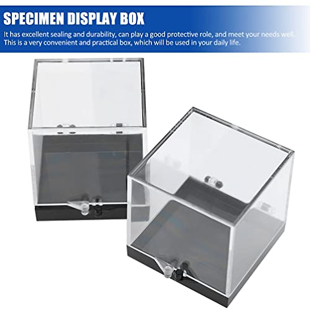 Cabilock Clear Specimen Display Cases 12pcs Plastic Mineral Specimen Storage Cases Square Sample Displaying Boxes Jewelry Organizer Tray