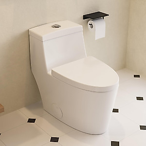 DeerValley Elongated One-Piece Toilet, Dual Flushing Toilet with 17" ADA Comfortable Chair Seat, 0.8/1.28 GPF High-Efficiency Modern Toilet, White Toilet Bowl For 12" Rough-In
