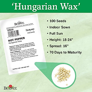 Burpee Hungarian Wax Hot Pepper Seeds 100 seeds