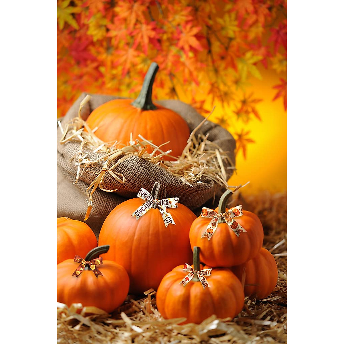 4 Rolls Fall Ribbons 3/8" Grosgrain Satin Pumpkin Maple Leaves Ribbons Orange Ribbons Autumn Give Thanks Words Thanksgiving Ribbon for Gift Wrapping Bows Fall Crafts Supplies 0.4/0.8inch, 20Yards