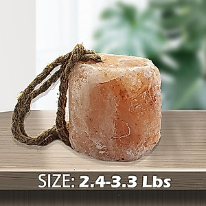 MUYG Himalayan Salt Lick Natural Minerals Block on Rope for Horses,Cattles,Deer,Goat and Other Livestock Long Lasting Original Pink Salt Lick (2.4-3.3 lbs)