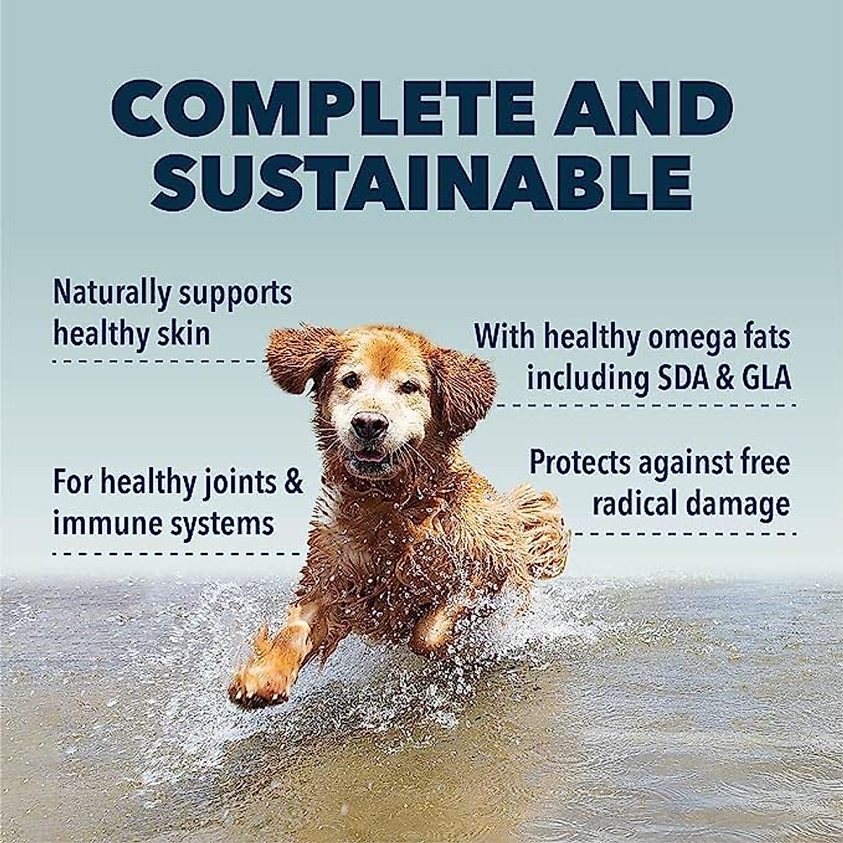 Four Leaf Rover: Safe-Sea Premium Fatty Acids - Omega-3 for Dogs - New Zealand Green-Lipped Mussel Oil for Joint Support - 11 to 45 Day Supply, Depending on Dog’s Weight - Vet Formulated
