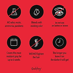 Godefroy Hair Color Tint Kit, Natural Black, 20 Applications