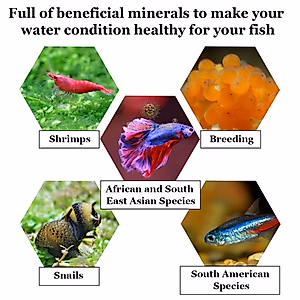 SunGrow 50 Pack Catappa Indian Almond Leaves for Snails and Crayfish, Mini Raw Dried Leaf for Fish Tank Aquarium, Maintains pH Levels