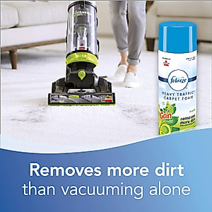 BISSELL Heavy Traffic Carpet Foam, Gain, 22oz (Pack of 4), 14399