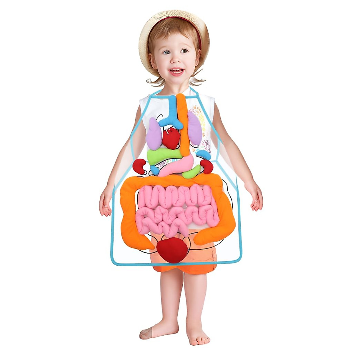 AIPINQI Anatomy Apron,Body Anatomy Apron Kids Human Body Organs Awareness Educational Toys for Children Preschool Science Homeschool Teaching Aids