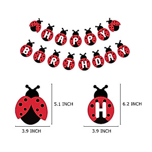 Ladybug Birthday Banner, Cute Ladybird Bday Bunting Sign, Insect Theme Baby Shower Decorations