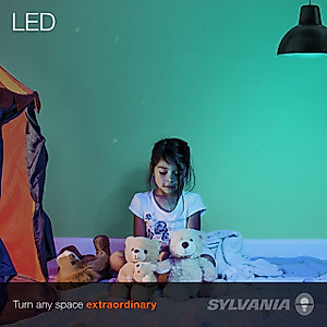 Sylvania LED Flood PAR38 Green Light Bulb, Efficient 9W, Non-Dimmable, 5 Year, E26 Medium Base - 1 Pack (40829)