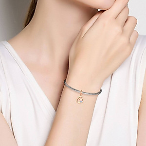 VALGACLS A-Z Letter Charm Rose Gold Letter Charms Letter C Alphabet Dangle Charm Beads for Bracelets and Necklaces