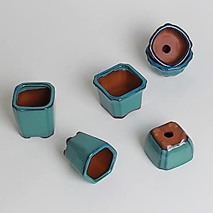 Happy Bonsai 6 pc Mini Glazed Pots Value Set + 6 Soft Mesh Drainage Screens