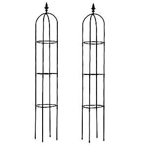 Lalahoni Garden Trellis for Climbing Plants Outdoor, 2 Pack 6ft Tall Plant Support Trellis for Potted Plants Climbing Vine Rose Clematis Outdoor Indoor Garden Obelisk Trellis, Lightweight, Black