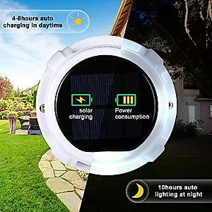 SOLPEX Solar Deck Lights Outdoor 8 Pack, Solar Driveway Lights, Dock Lights Solar Powered Waterproof LED Lights for Steps, Garden, Ground, Stair, Patio, Pathway, Landscape(Cold White)