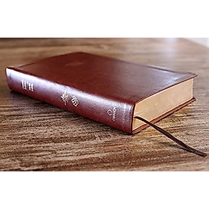 Biblia Bilingüe Reina Valera 1960/ESV Tamaño grande piel marrón / Bilingual Bibl e RVR60/English Standard Large Size Large Print Leather