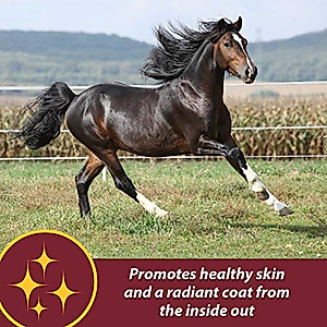 Farnam Laser Sheen Skin & Coat Supplement for Horses, Promotes Healthy Skin & Radiant Coat from The Inside Out, 7.5 Pound, 60 Day Supply