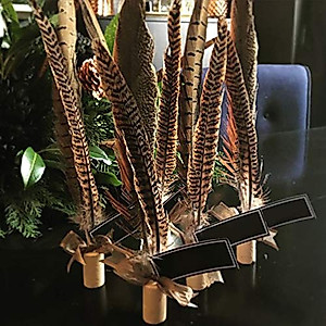 AWAYTR 20pcs Natural Pheasant Feathers - Pheasant Tail 8-11inch(21-28cm) for DIY Decoration (Female Pheasant Tail)