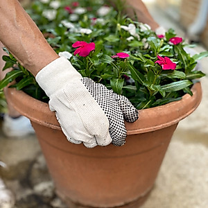 Wells Lamont Canvas Work Gloves, Economy Dotted, 6 Pair Pack (309K) , White