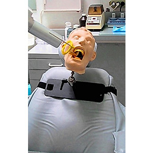 Dental X-Ray Simulator Manikin Training Model