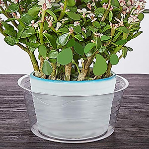 Idyllize 10 Pieces of 4 Inch Clear Thin Deep Plastic Plant Saucer Drip Tray for Pots (4'')