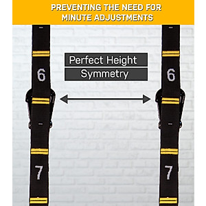 Double Circle Wood Gymnastic Rings 1.25 Inch, with Quick Adjust Numbered Straps and Exercise Videos Guide for Full Body Workout, Crossfit, and Home Gym