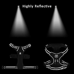 PoyPet No Pull Dog Harness, Reflective Comfortable Vest Harness with Front & Back 2 Leash Attachments and Easy Control Handle Adjustable Soft Padded Pet Vest for Small to Large Dogs (Mint Blue,M)