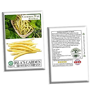 Cherokee Wax Bush Bean Seeds for Planting, 50+ Heirloom Seeds Per Packet, (Isla's Garden Seeds), Non GMO Seeds, Botanical Name: Phaseolus vulgaris, Great Home Garden Gift