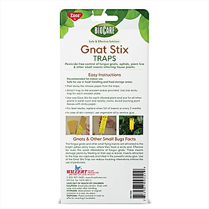Enoz BioCare Gnat Stix for Fungus Gnats and Aphids, Pest Control for Plants and Greenhouses, Safe & Effective (12 Pack)