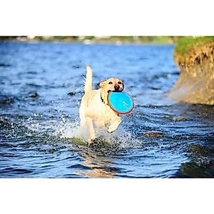 Chuckit! Paraflight Flying Disc Dog Toy - Water Floating Flyer - Durable Nylon Construction with Soft Rubber Edges - For Small and Medium Dogs - Size Small - 6.75" L x 6.75" W - Pack of 1