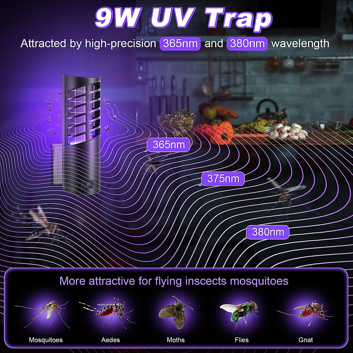 Qualirey Flying Insect Trap Mosquito Trap Indoor Plug in, Fruit Fly Traps for Indoors with 9W UV Light, 10 Sticky Glue Board Refills for Fruit Flies, Gnats, Moths, Indoor Fly Catcher for Home Office