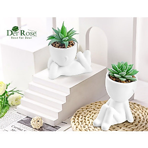 Der Rose Set of 2 Fake Plants Artificial Succulent Plants for Office Desk Accessories Bathroom Home Room Aesthetic Decor Indoor