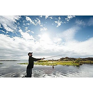 Abu Garcia Zata Spinning Reel and Fishing Rod Combo Green, 30 Size Reel - 7' - M - 1pc