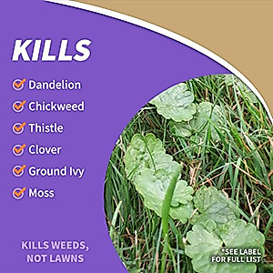 Captain Jack's 2613 5-in-1 Weed Killer, 16-oz. Concentrate - Quantity 1