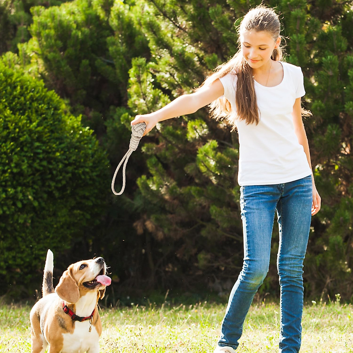 Dog Rope Tug of War Toys for Large, Medium and Small Dogs. 2 Pack Natural Cotton Toys for Teething.Flosses Teeth, Premium Beige Knot, Gum Stimulation for Teething Puppies.