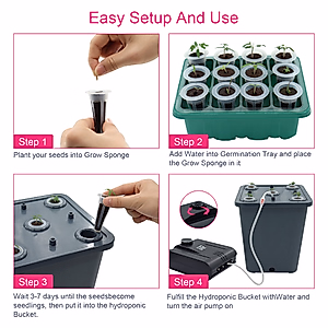 Lawnful 4 Hydroponic Buckets Kit for Plants, Hydroponics Growing System for Herbs/Tomato/Vegetables, DWC System with Air Pump & Germination Tray (Complete Indoor Hydroponic Gardening Supplies)
